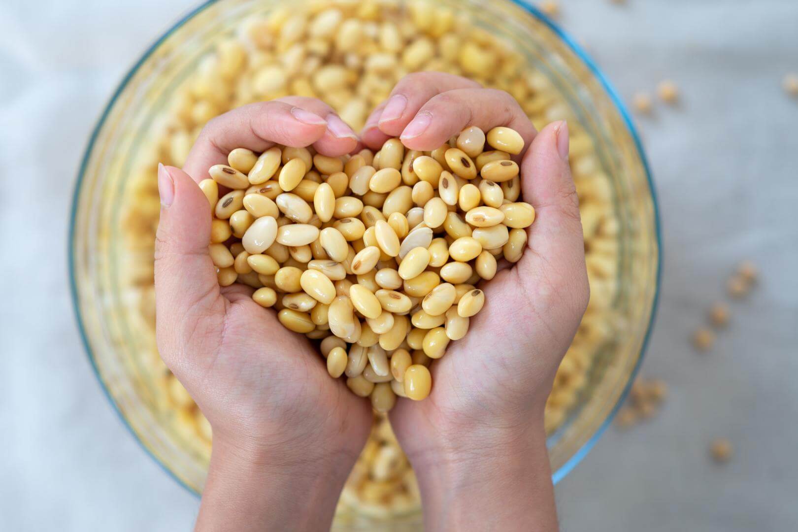 Legumes and pulses: fun facts