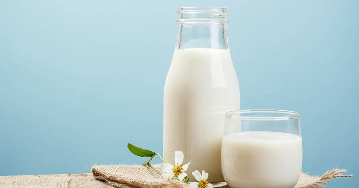 Useful facts about milk